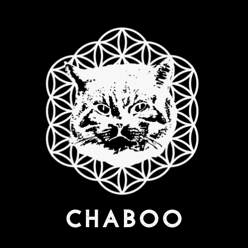 Chaboo: Der Trank für die Zirbeldrüse – Chaboo.Shop